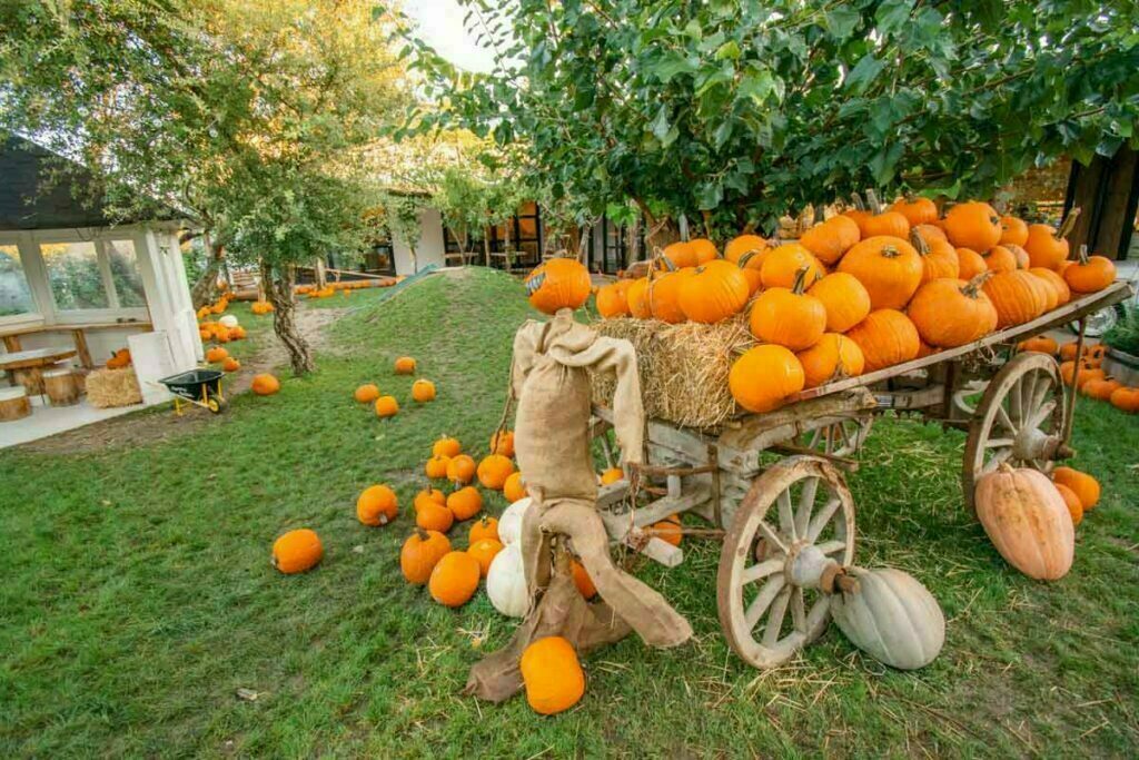Villaggio delle Zucche di Nonno Andrea: magia d’autunno a Treviso