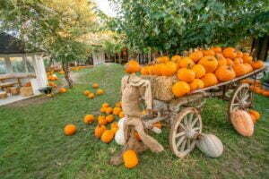 Villaggio delle Zucche di Nonno Andrea: magia d’autunno a Treviso