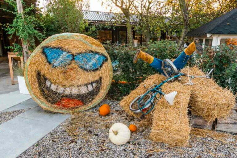 Villaggio delle Zucche di Nonno Andrea: magia d’autunno a Treviso