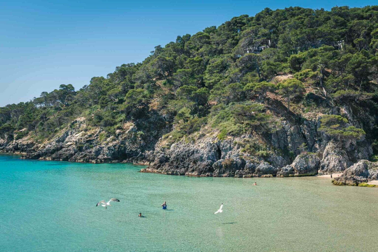 Isole Tremiti in un giorno: che paradiso!